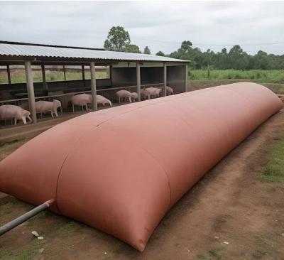 China Biogas Digester Tank 0.02-0.05 MPa Mechanical Mixing Organic Waste to Biogas Conversion for sale