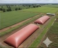 China Biogas Digester Tank 0.02-0.05 MPa Mechanical Mixing Organic Waste to Biogas Conversion for sale