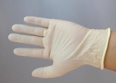 China Barrier Performance Disposable Latex Gloves 100% natural latex for sale
