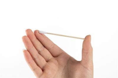 China Daily Draw 80mm Medical Cotton Swabs Wooden Stick for sale