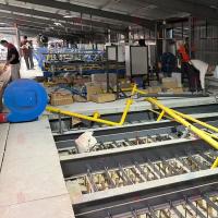 China Natural Gas Clay Brick Making Machine Advanced Technology for Clay Production for sale