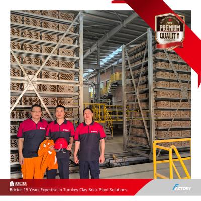 China 750TPD Capacity Brick Plant Project with 400×200×200mm Product and 200×200mm Hollow Bricks Production Line for sale