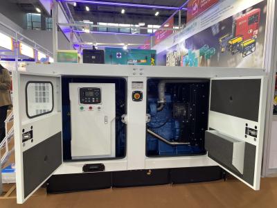 China Efficient Standby Generator Set with Smartgen Control Panel Noise Level ≤75dB Silent Diesel Generator Set A 1 Year for sale