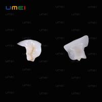 China Biocompatible Zirconia Inlay Wear Resistant Premium Dental Inlay And Onlay for sale