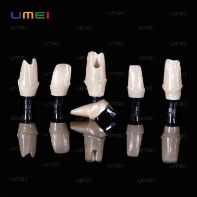 China Precision Custom Zirconia Abutment Biocompatible Dental Implant Abutments For Dental Clinics for sale