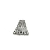 China M5 Colorful Zinc Electric Meter Lead Seal Screws Phillips Socket With Hole Nail for sale