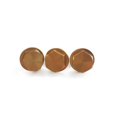 China Stainless Steel 304 / Aluminum Decorative Wheel Bolts Gold Anodized for sale