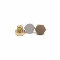 China Stainless Steel Decorative CD Screws Nails Customized Hexagonal 7.0mm for sale
