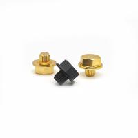 China Processing Aluminum Alloy Straight Screw Custom 6063 Automobile Wheel Hub Decorative Nail for sale