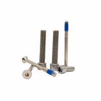 China High-Strength 316L Stainless Steel Hexagon Socket Head Screw Bolt Anti-Loosening for sale