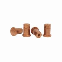 China Source Processing Customized Copper Nut Golf Cart Accessories T2 for sale