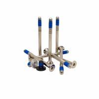 China Strength Hexagon Dispensing Screw Plum Blossom Dispensing Screw Locking Bolt for sale