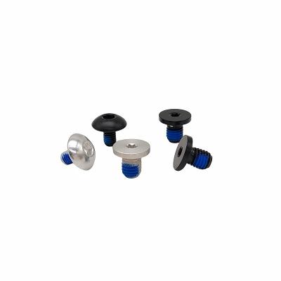 China Customization Of Hexagonal Adhesive Screws 316L Stainless Steel With Blue Adhesive Bolts for sale