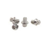 China High Hardness Stainless Steel Chrome Plated Decorative Screws With Drawings And Samples for sale