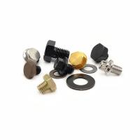 China Customized External Hexagon Screw Blackened High Strength Bolt External Hexagon Decorative Nail for sale
