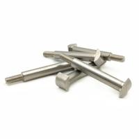 China Manufacturers Customized Stainless Steel T-Shaped Step Screws T-Shaped Bolt With Curved Surface for sale