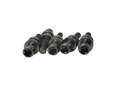 China Customized Stainless Steel Torx Screws Zinc Nickel Alloy for sale