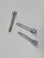 China Customizable As Per Your Drawing And Design Electric Meter Sealing Screw Quantity 100pcs for sale
