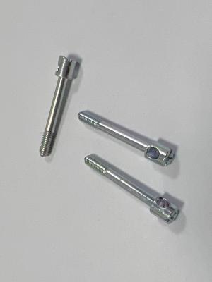 China Customizable As Per Your Drawing And Design Electric Meter Sealing Screw Quantity 100pcs for sale