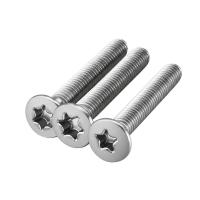China Good Corrosion Resistance Stainless Steel Security Screws Customizable Thickness High Hardness High Torsion Tensile Strength Suitable for Outdoor for sale