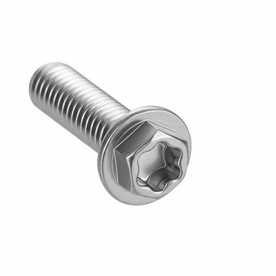 China Customizable Thickness Stainless Steel Security Screws External Hexagon Head Bolt Ideal for Cleaning and Mechanical Fastening for sale