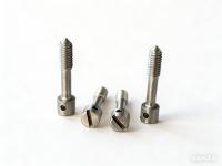 China 2.0mm Hole Size Electric Meter Screws Pan Head 0.2kg Precision Engineered Components for Secure Electrical Installations for sale