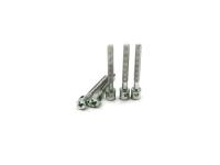 China Cross head meter screw M3x25 sandblasted galvanized single hole lead seal screw for sale