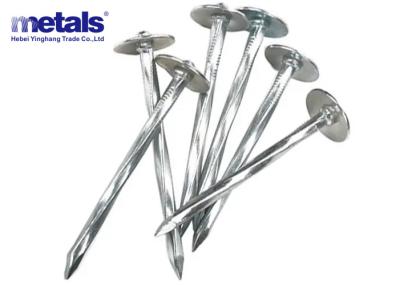 China Galvanized Steel Roofing Nails for sale
