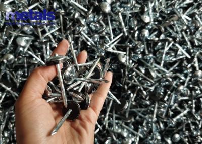 China OEM Round Head Gi Roofing Nails Silver White Finish Long Lasting Performance for sale