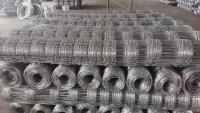 China Heavy-Duty Galvanized & PVC Coated Steel Welded Wire Mesh Fence for Industrial and Security Perimeter Protection for sale