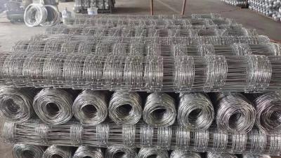 China Heavy-Duty Galvanized & PVC Coated Steel Welded Wire Mesh Fence for Industrial and Security Perimeter Protection for sale