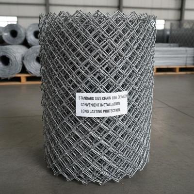 China Standard Size Chain Link Fence Mesh Convenient Installation Ensures Long Lasting Protection Against Intrusion and Damage for sale