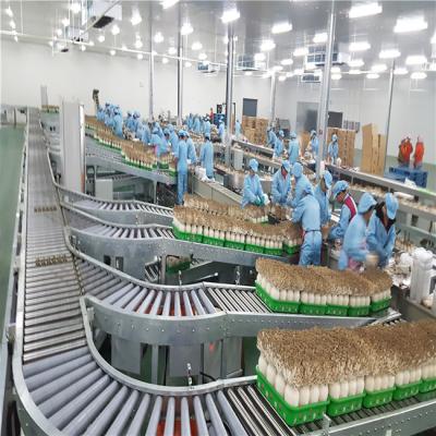 China IoT-Connected Drum Conveyor Assembly Line Roller Belt Type For Industry 4.0 for sale