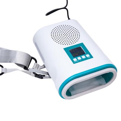 China Mini Cryo Sculpting Machine Fat Freeze Slimming Machine For Home for sale