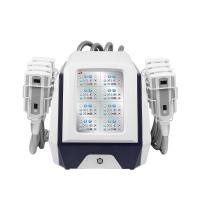 China Portable Cooling Plate Cryo Fat Freezing Machine With Eight Handles for sale
