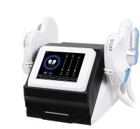 China Black Slimming Beauty Machine 3000W  Muscle Build  Body Contouring Dual Handles for sale