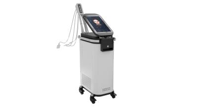 China Vertical  PE Face Skin Wrinkle Removal Beauty Removal Increase Face Muscle Pe-face Machine for sale