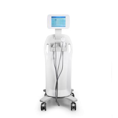 China 2 in 1 Hifu Multifunctional  home use  salon beauty 3 cartridges face  lifting skin treament machine for sale