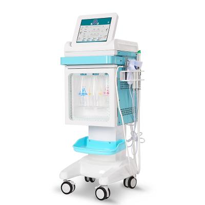 China Hydro Oxygen Facial Machine – Easy Operation for Salons & SPA Centers Deep Cleansing + Oxygen Rejuvenation 2 in 1 facial cleaning machine for sale