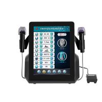 China Home and Beauty Salon Use Desktop Microneedling Machine 2 Handles Professional Skin Needling Beauty Device for Face Body Use Lifting Tightening Beauty Machine for sale