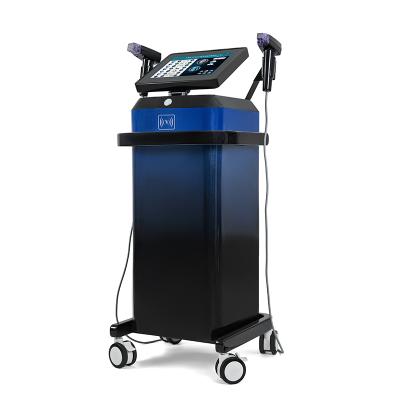 China Home and Beauty Salon Use Vertical Microneedling Machine 2 Handles Professional Skin Needling Beauty Device for Face Body Use Lifting Tightening Beauty Machine for sale