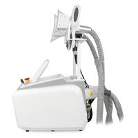 China 4 in 1 Non-Invasive Painless portable 4 Handles Home And Commercial Use Cryo Freezing Beauty Machine Slimming Beauty Machine for sale