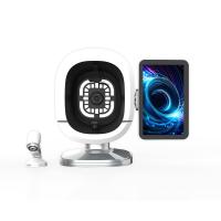 China Advanced AI Facial Skin Scanner with 15.6 Inches Screen for Testing 14 Skin Problems in 16 Languages for sale