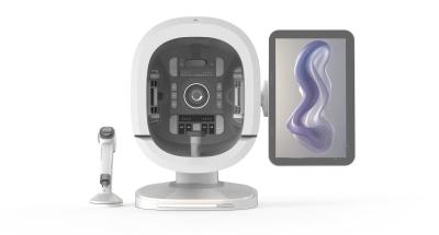 China Advanced AI Facial Skin Scanner with 15.6 Inches Screen for 14 Skin Problems Analysis in 16 Languages for sale
