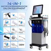 China 14 In 1 Professional Facial Beauty Device for Deep Cleansing Moisturizing Skin Tightening for sale