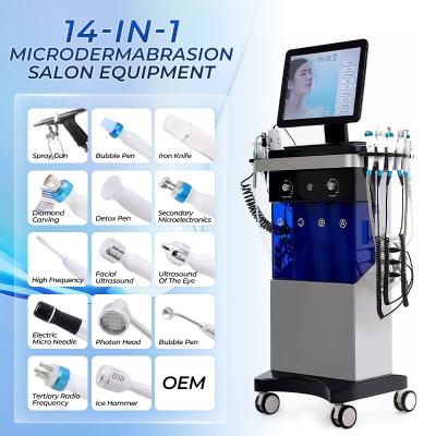 China 14 In 1 Professional Facial Beauty Device for Deep Cleansing Moisturizing Skin Tightening for sale