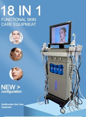 China 18 In 1 Aqua Exfoliate Oxygen Nourish Repair Facial Bright Spa Professional Device for sale