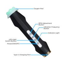 China Mini Oxygen Bubble Instrument LED Vibration Facial Lift Portable Skin Beauty Machine for sale