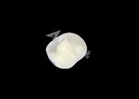China IPS E.max Ceramic Inlays Onlays Seamless Blend Natural-looking for sale