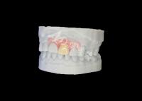 China Customized Nesbit Flexible Partial Denture for Natural Fit and Longlasting Comfort for sale